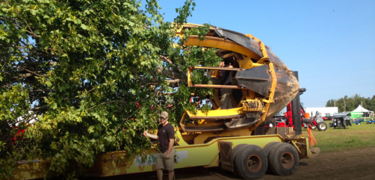 Equipment | Treemendous Trees